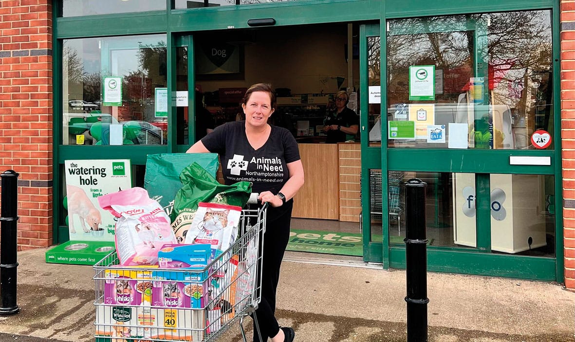 A day in the life of an animal angel | NN Pulse